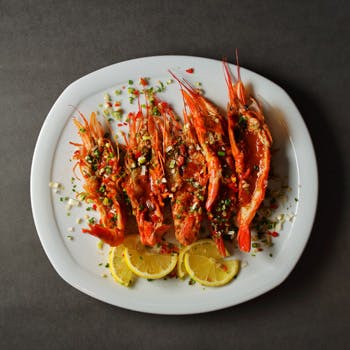 JTuJVN ۂ̓X - ۂ̓/xgit` [x.com Xg]